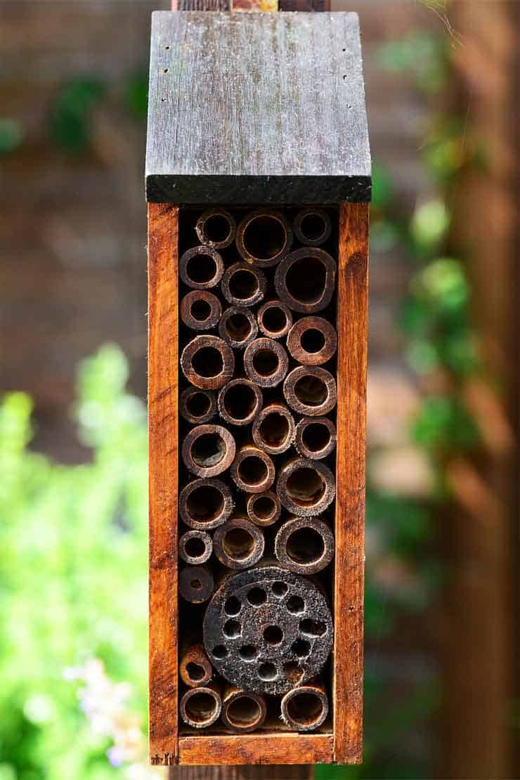 How to Build an Insect Hotel & 35 Bug Hotels to Inspire You