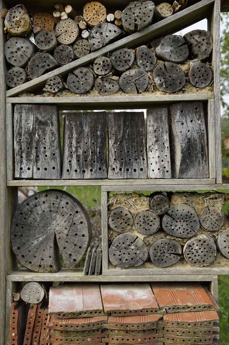 How to Build an Insect Hotel & 35 Bug Hotels to Inspire You