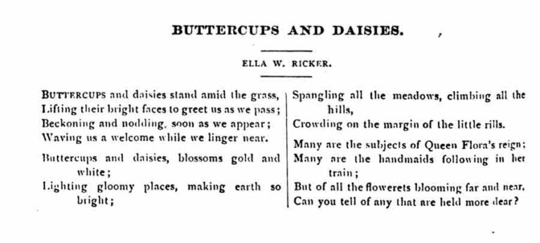 Buttercups and Daisies, Poem by Ella W. Ricker | Resalvaged