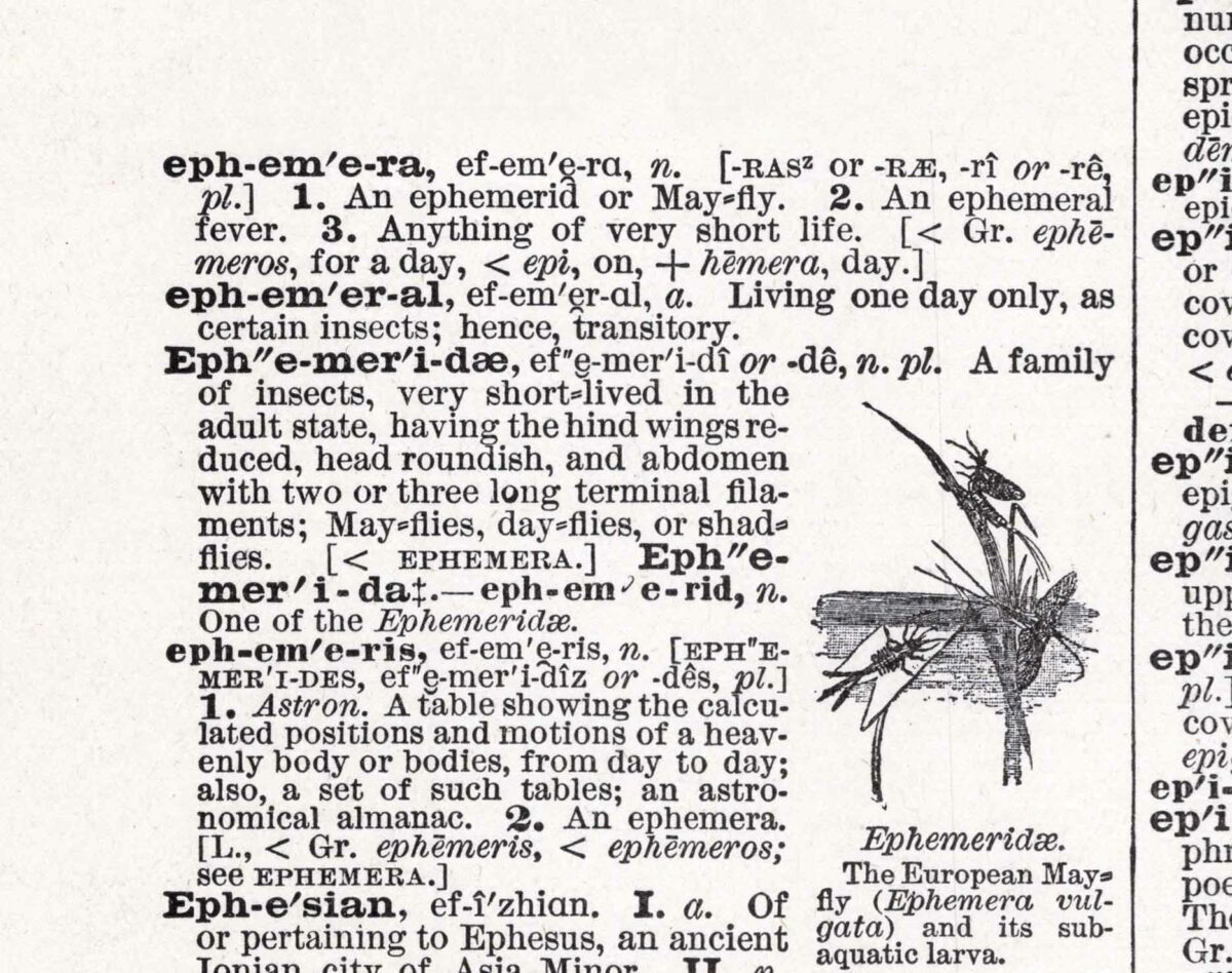 How to Say and Pronounce Ephemera and It's Meaning | Resalvaged